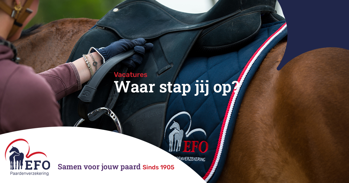 Vacature: ledenraadslid | EFO
