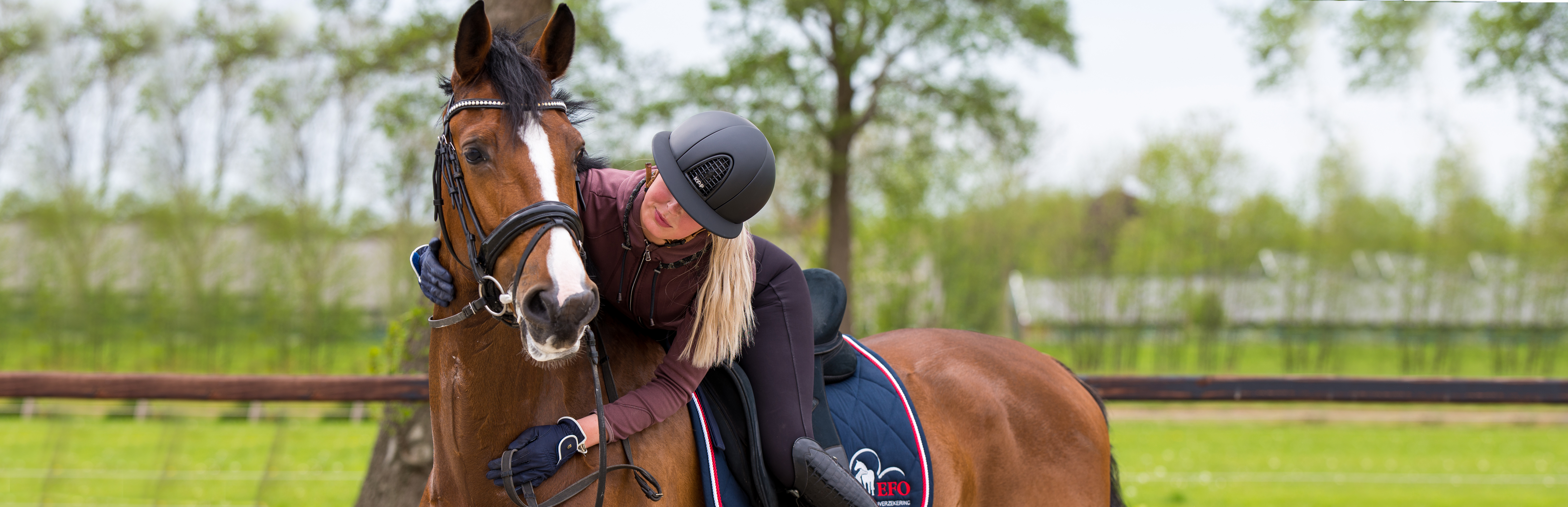 Het paard als vluchtdier | EFO