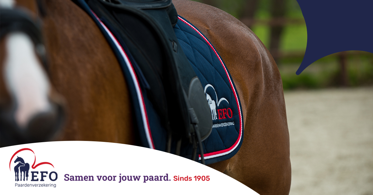 EFO is op zoek naar jouw verhaal | EFO