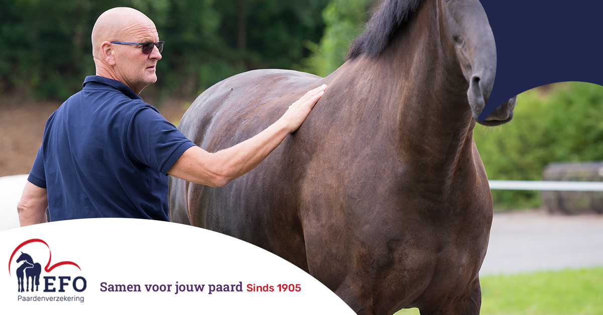 Maak kennis met EFO: Ron Esteje | EFO